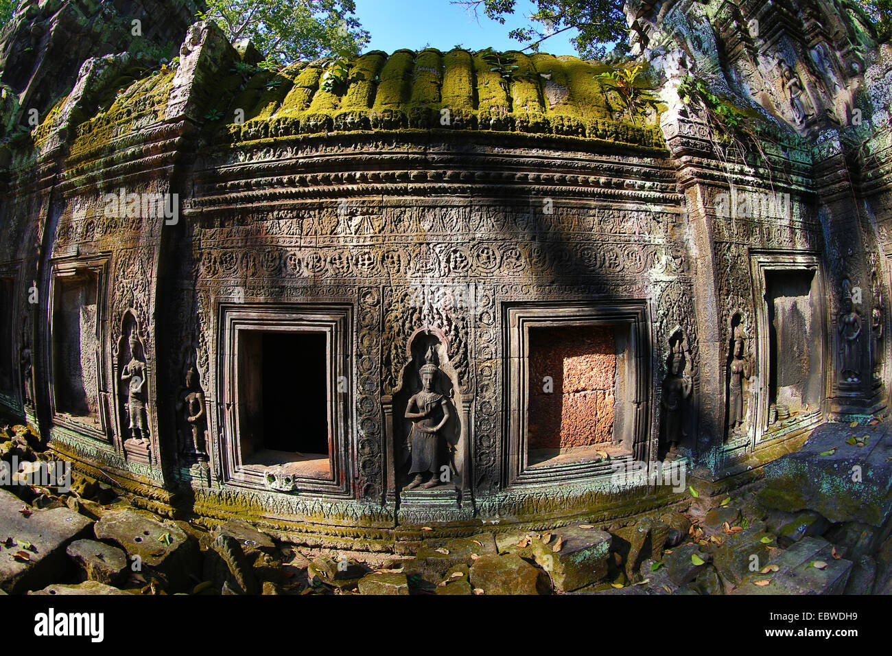 Giant tree roots at Ta Phrom, Khmer Temple in Angkor, Siem Reap ...