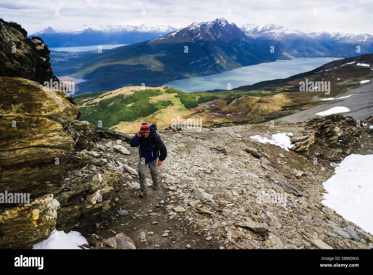 Hiker climbing Cerro Guanoco in Tierra del Fuego National Park near ...