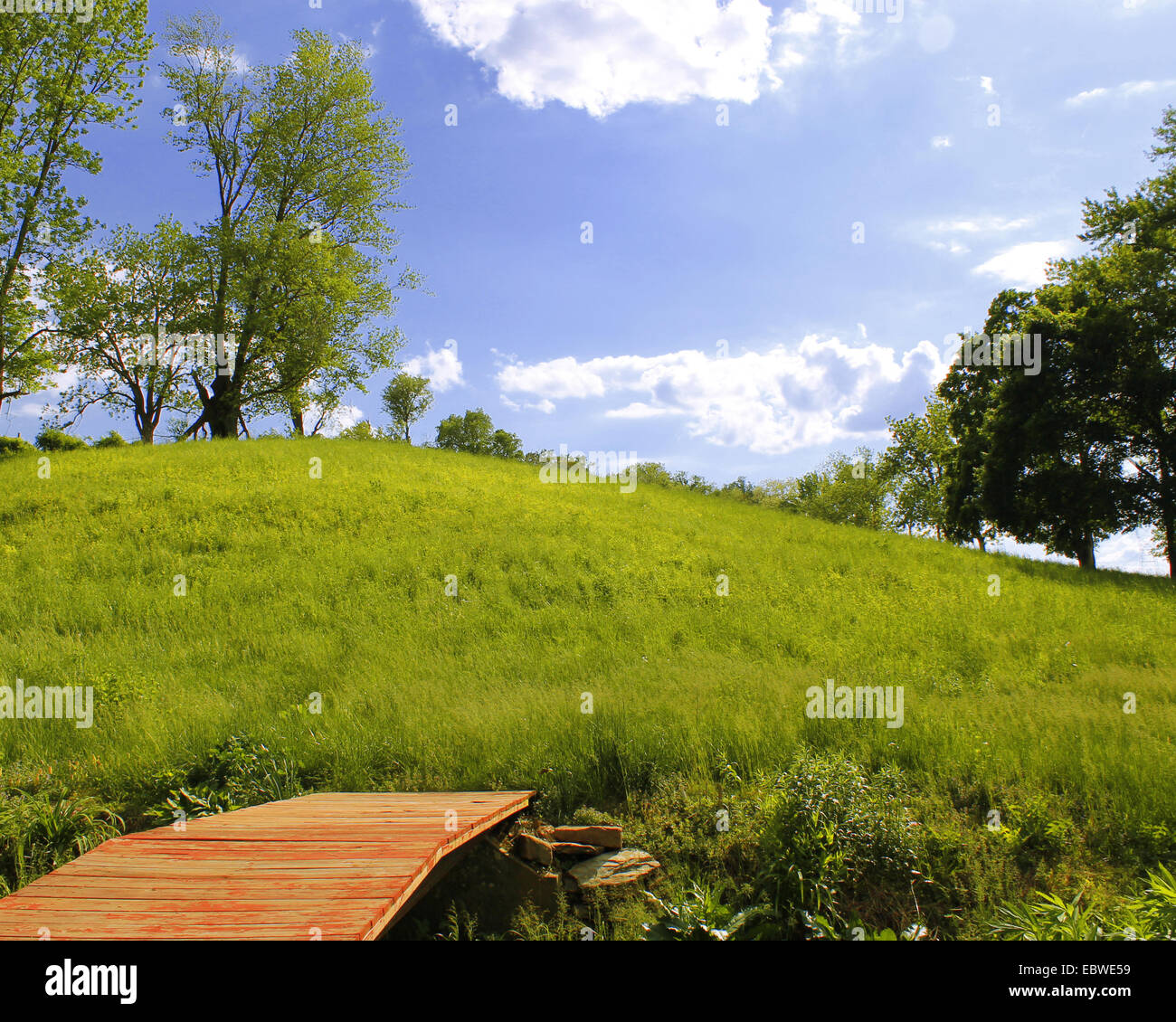 Bridge, Field and Sky Stock Photo - Alamy