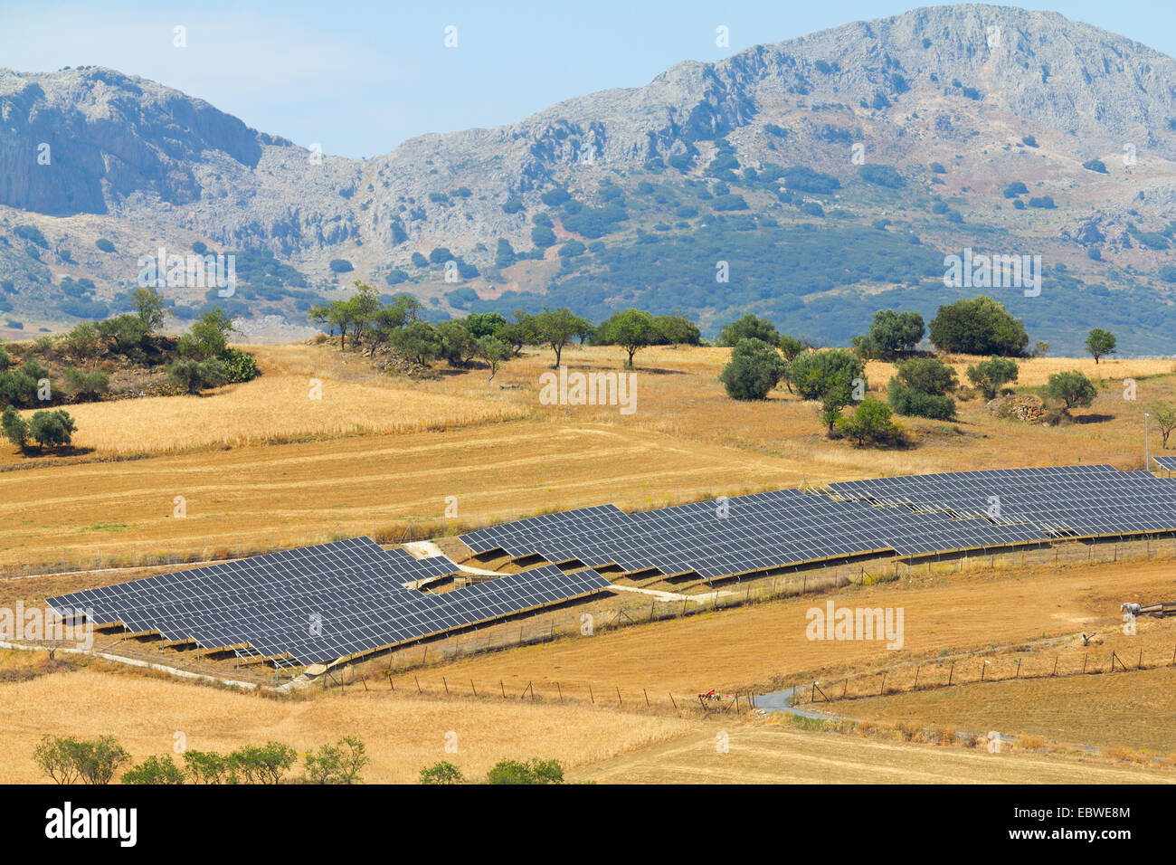 Array of solar panels in sunny rural area Stock Photo - Alamy