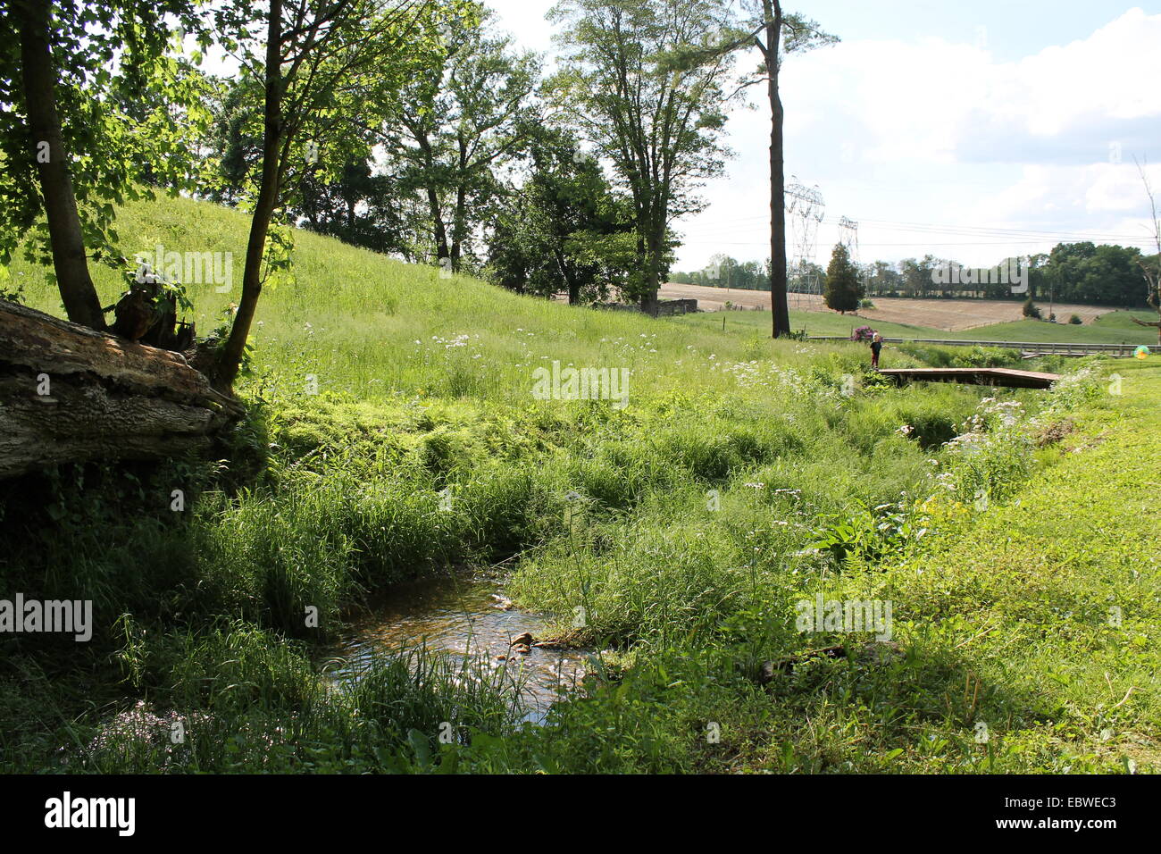 Stream going through field Stock Photo - Alamy