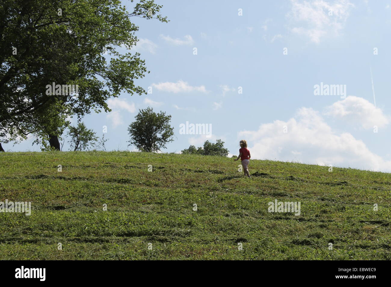 Child kid grass field hi-res stock photography and images - Alamy
