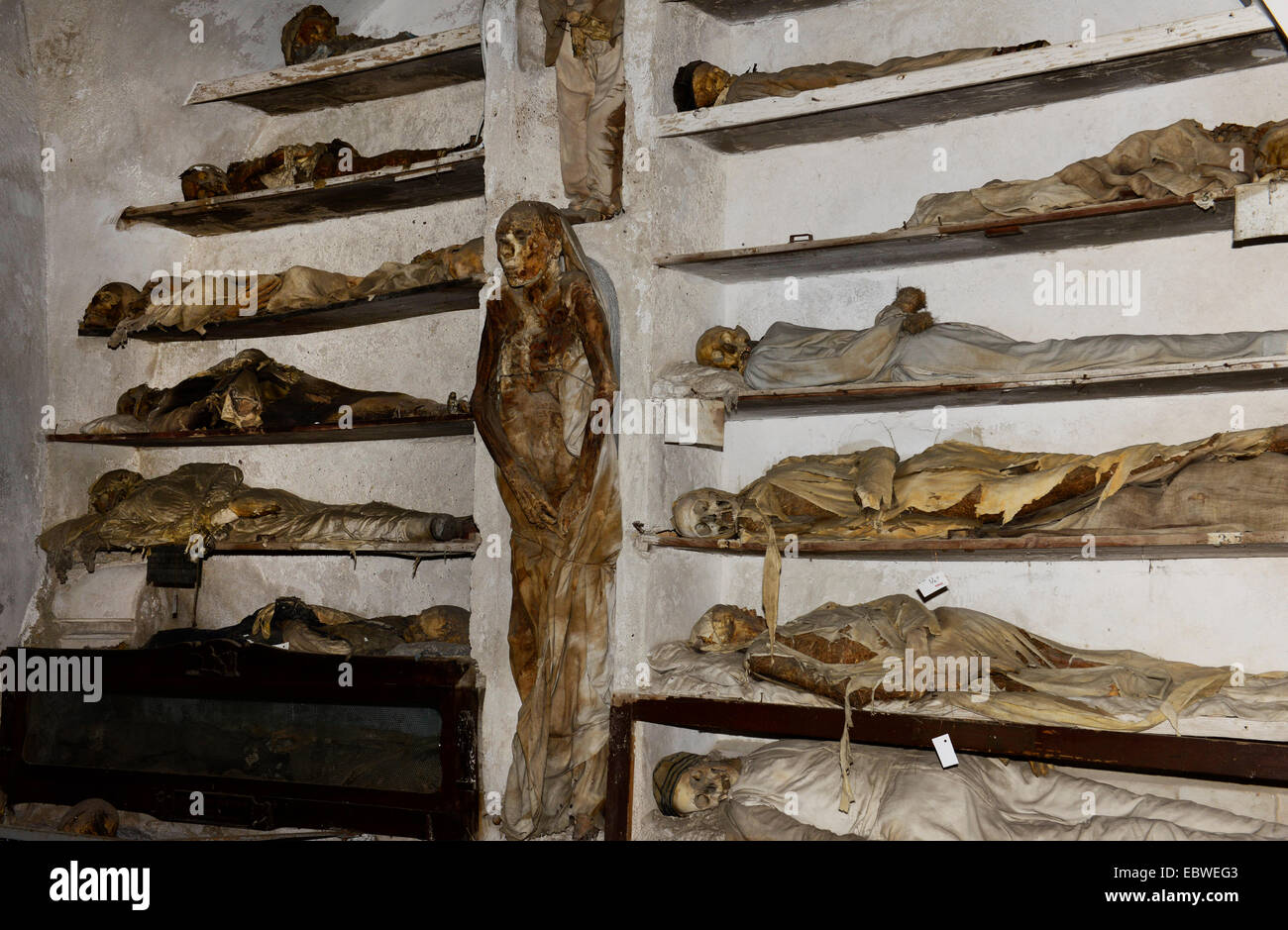 Mummified corpses in the Capuchin Catacombs of Palermo, Italy Stock ...