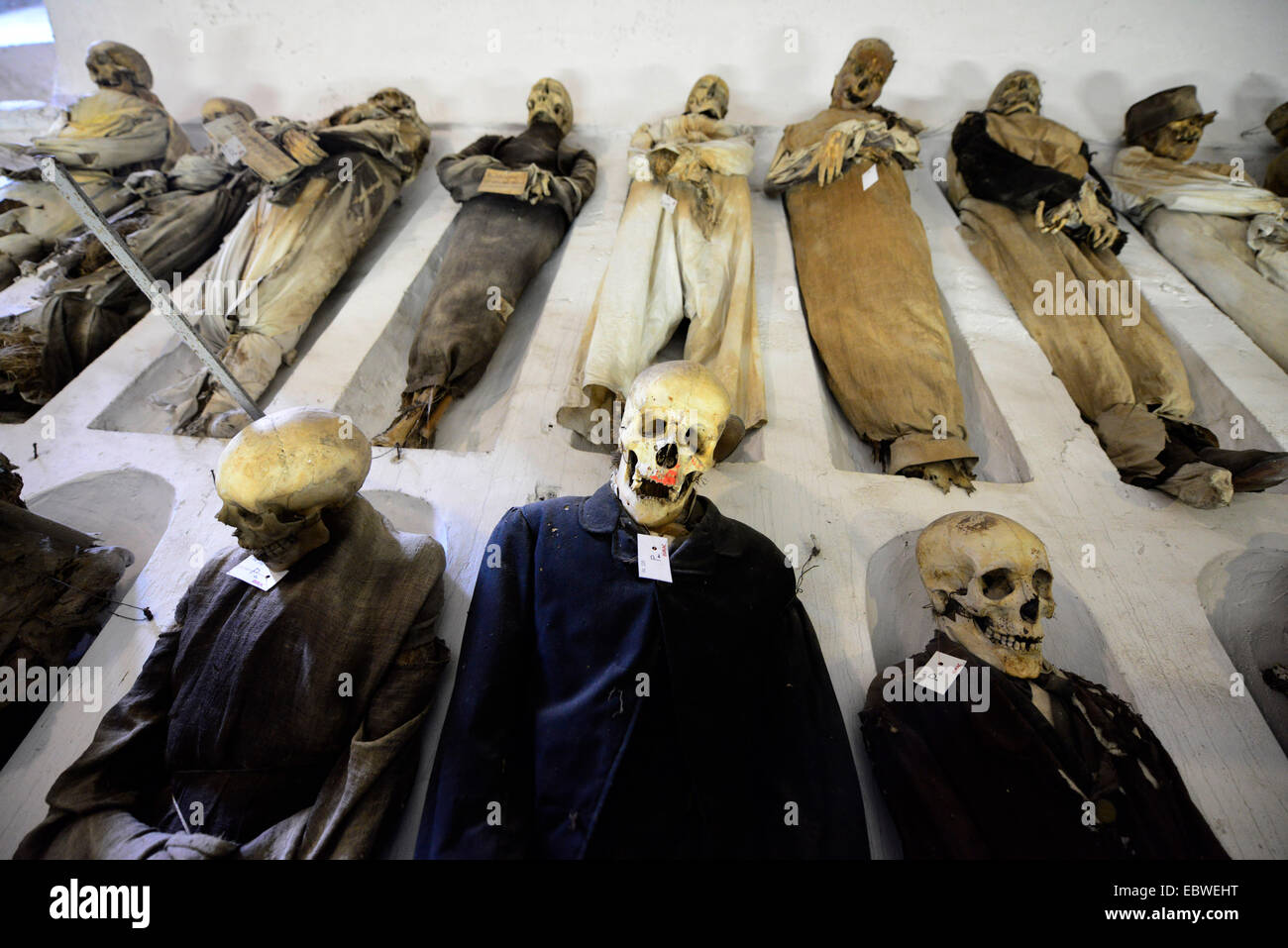 Mummies hi-res stock photography and images - Alamy