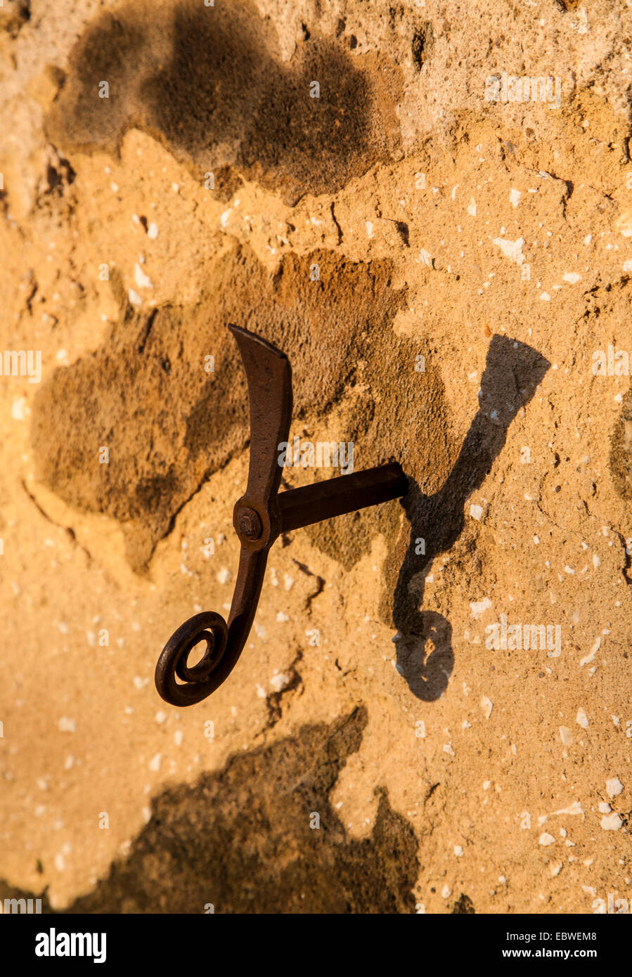 Shutter dog hi-res stock photography and images - Alamy