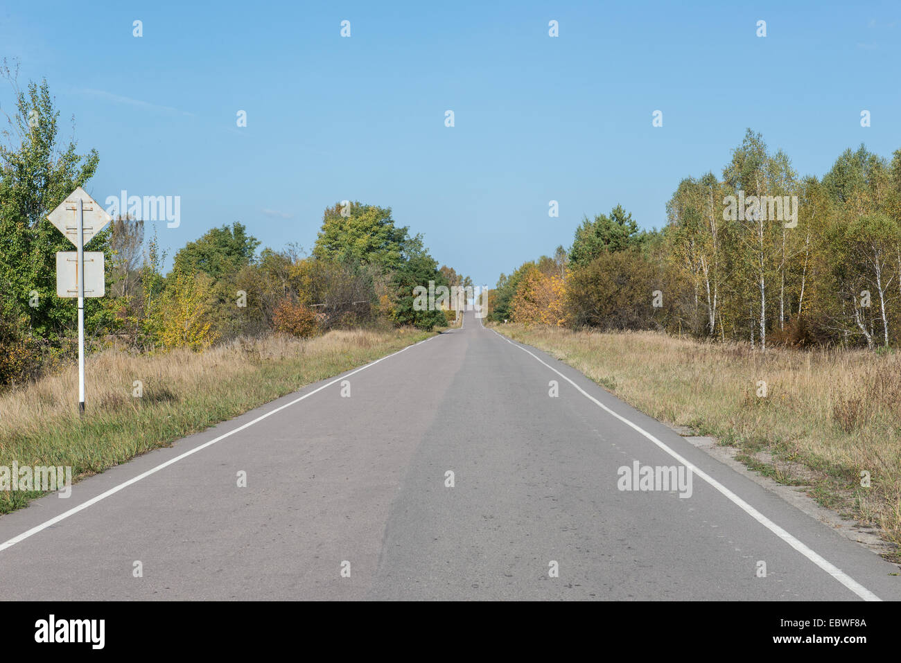Red forest chernobyl hi-res stock photography and images - Alamy