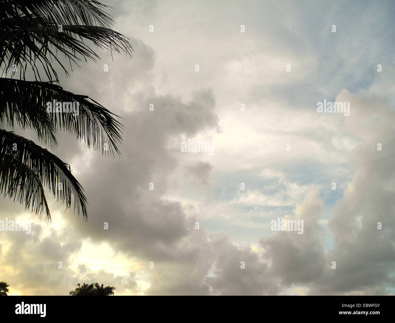 A Tropical Evening Sky The clouds are very dramatic in this Florida ...