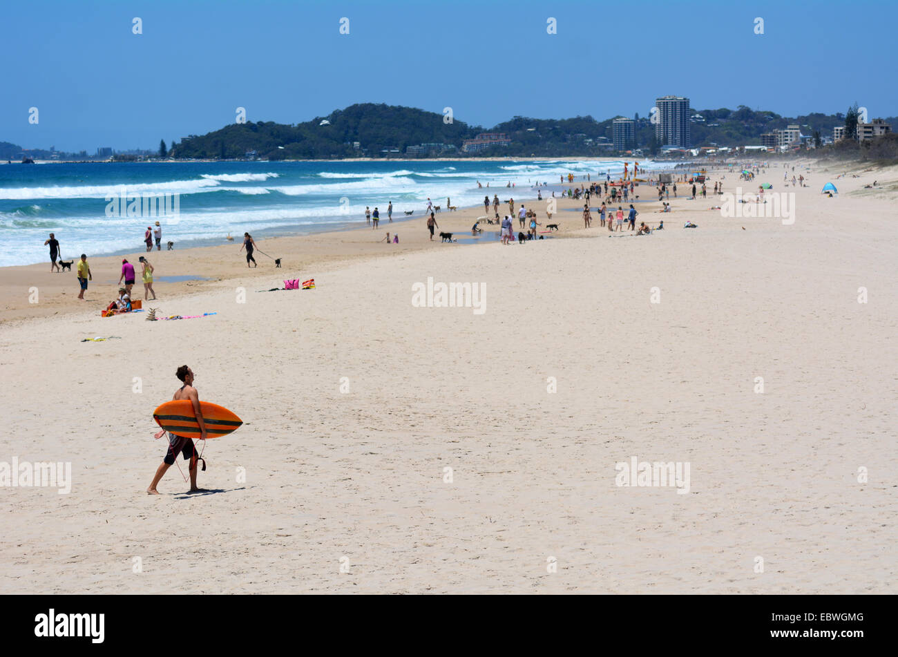 Miami Gold Coast Australia High Resolution Stock Photography and Images ...
