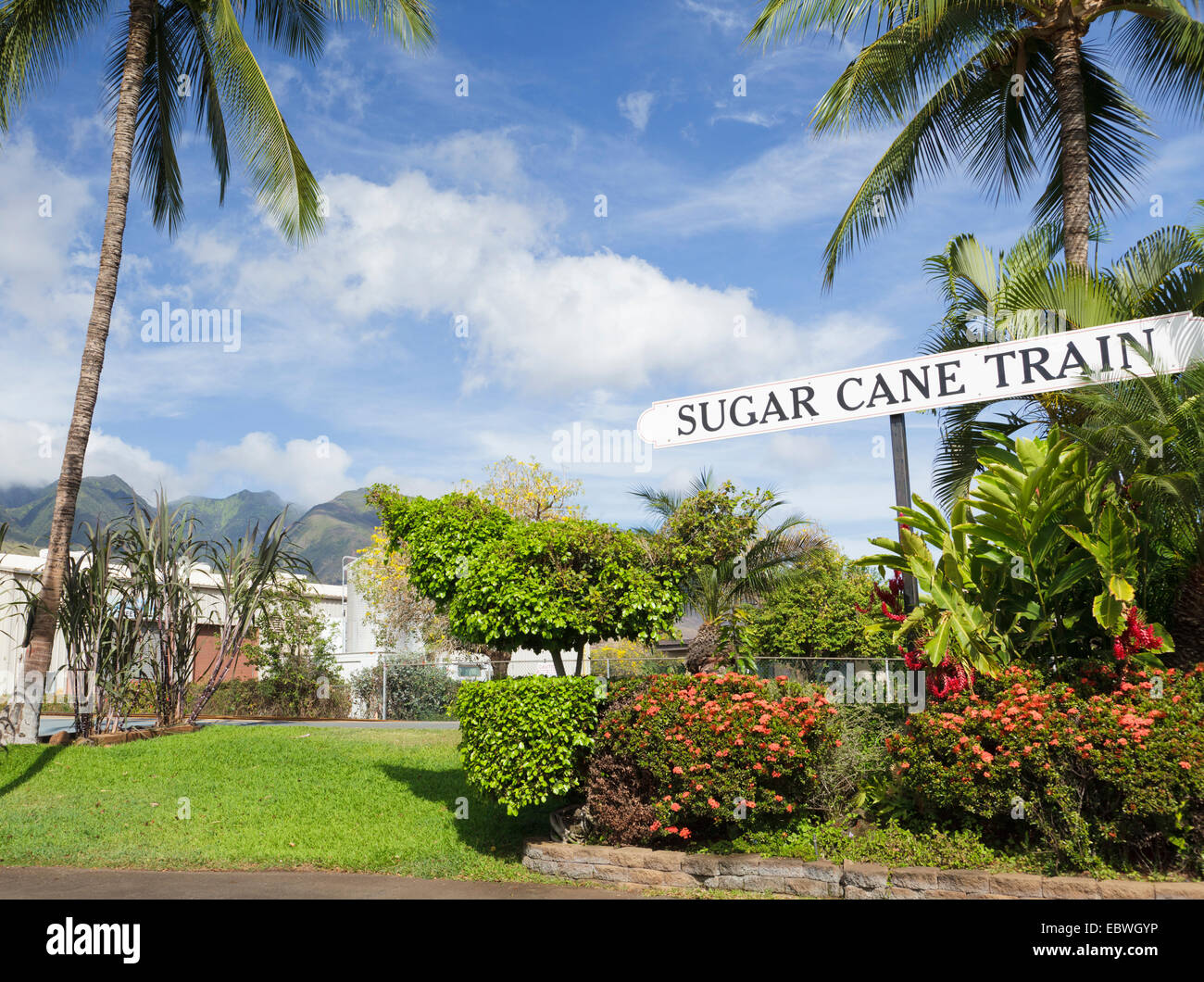 Lahaina sugar cane train maui hi-res stock photography and images - Alamy