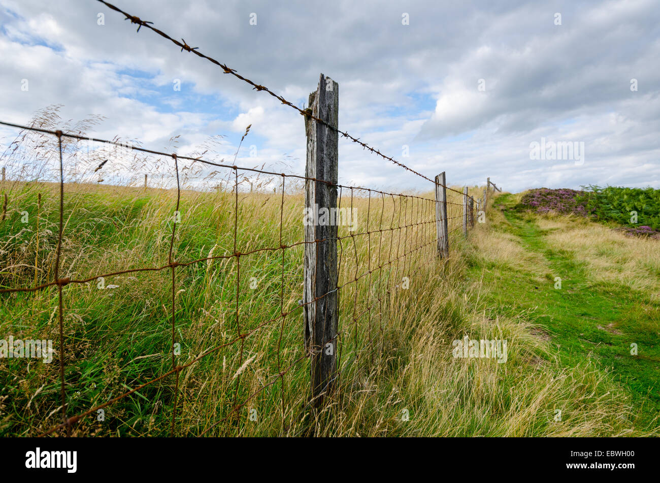 Barbed wire fence along edge of a field Stock Photo - Alamy
