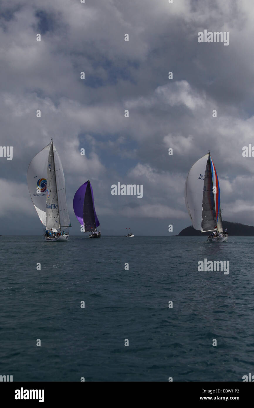 racing under spinnaker Stock Photo - Alamy