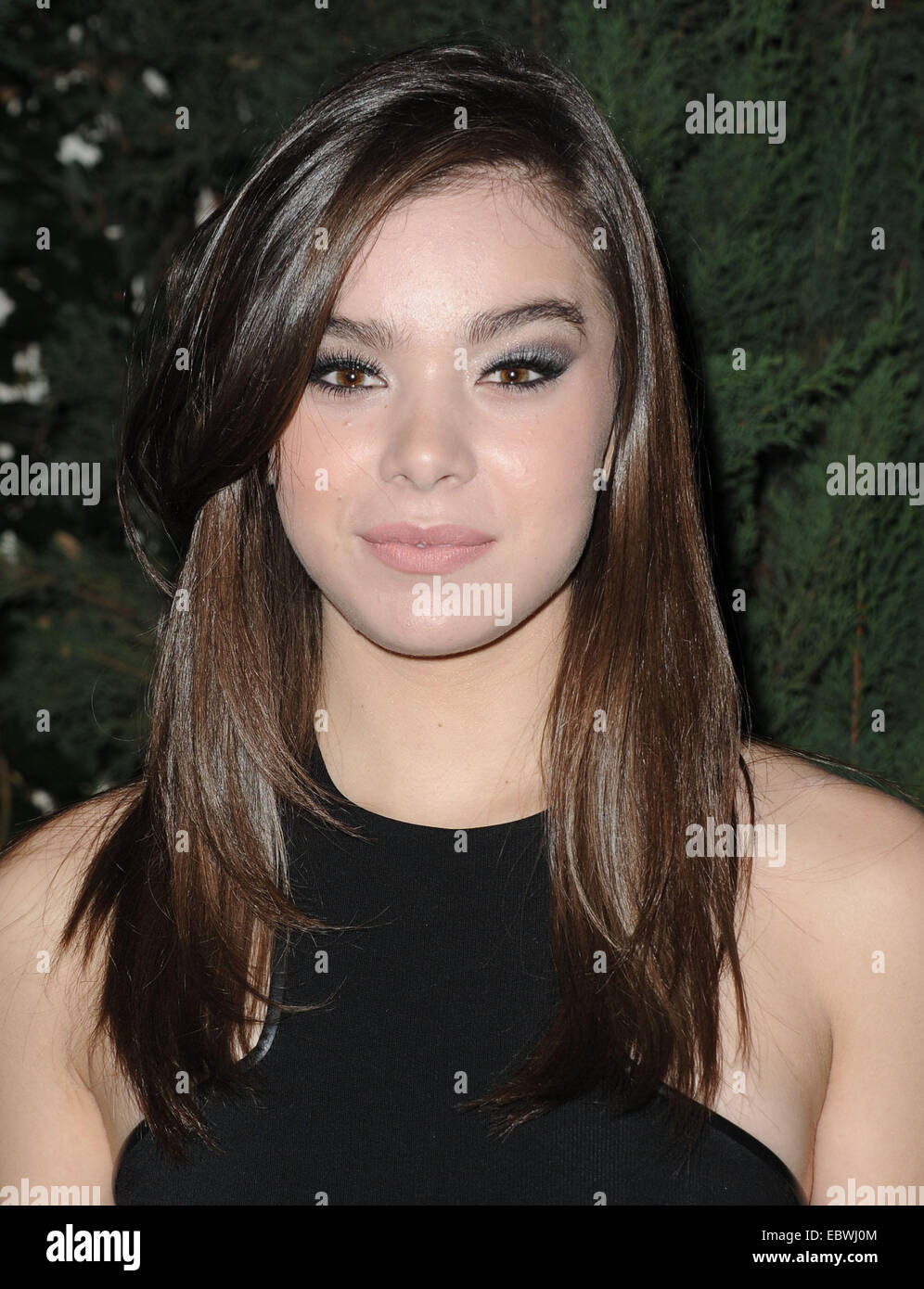 Los Angeles, California, USA. 4th Dec, 2014. Hailee Steinfeld attending ...
