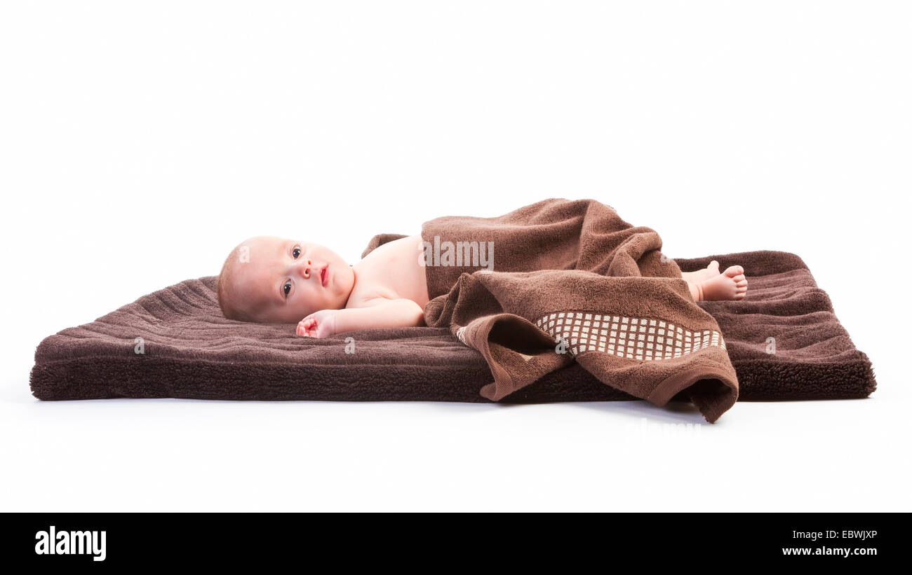baby boy over brown blanket on white background Stock Photo - Alamy