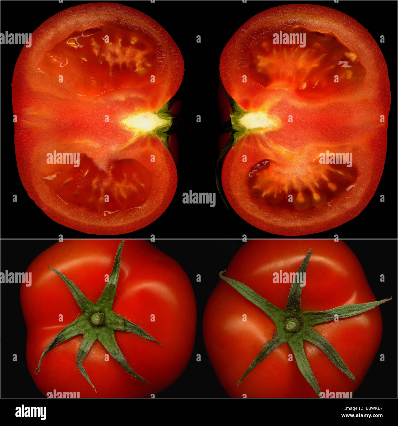 tomatoes collage composition nested on a black square frame Stock Photo ...