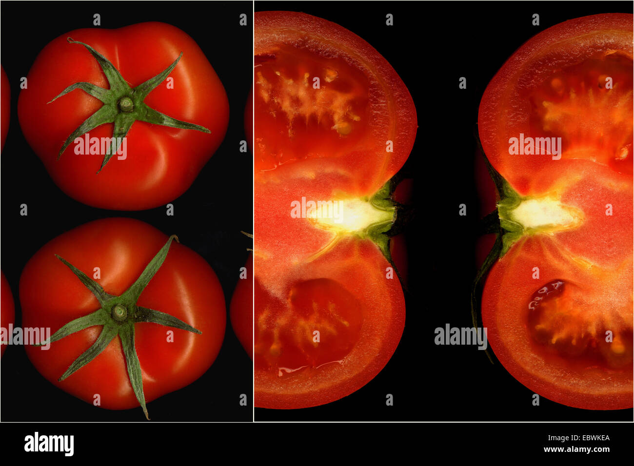 tomatoes collage composition nested on a black square frame Stock Photo ...