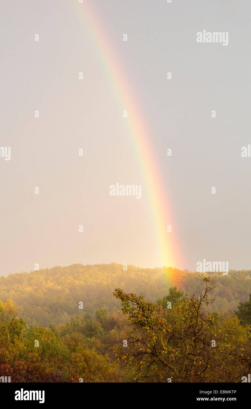 Beautiful rainbow over trees Stock Photo - Alamy