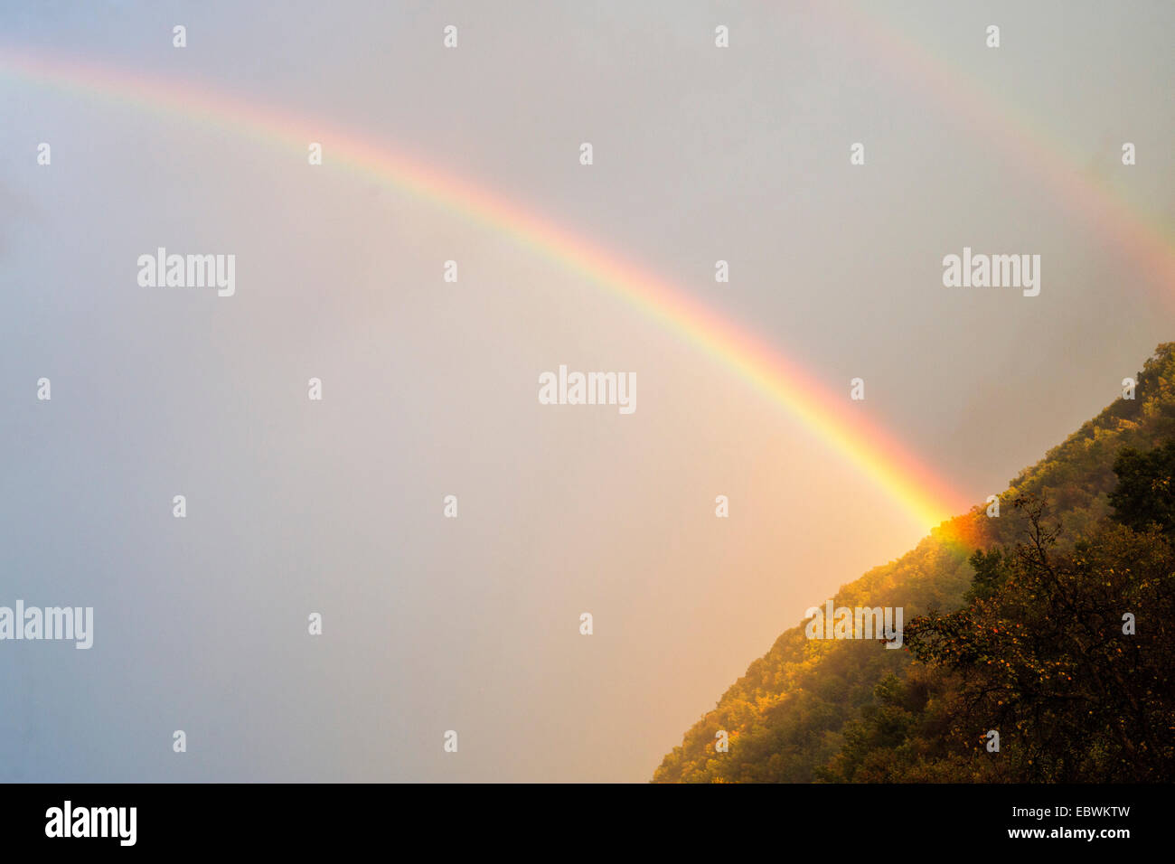 Beautiful rainbow over trees Stock Photo - Alamy