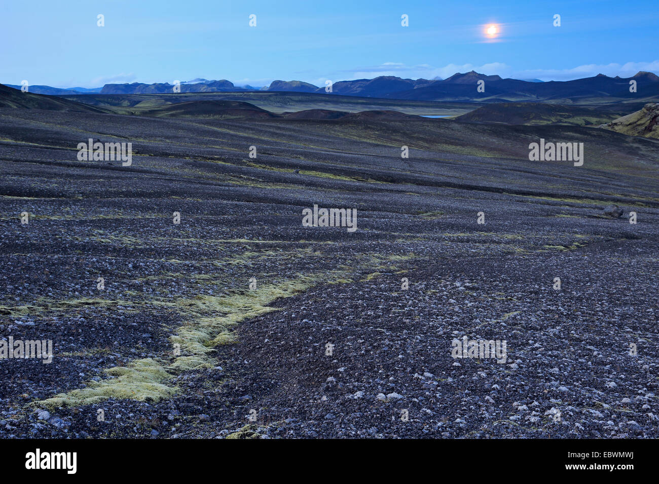 Moonlit field hi-res stock photography and images - Alamy