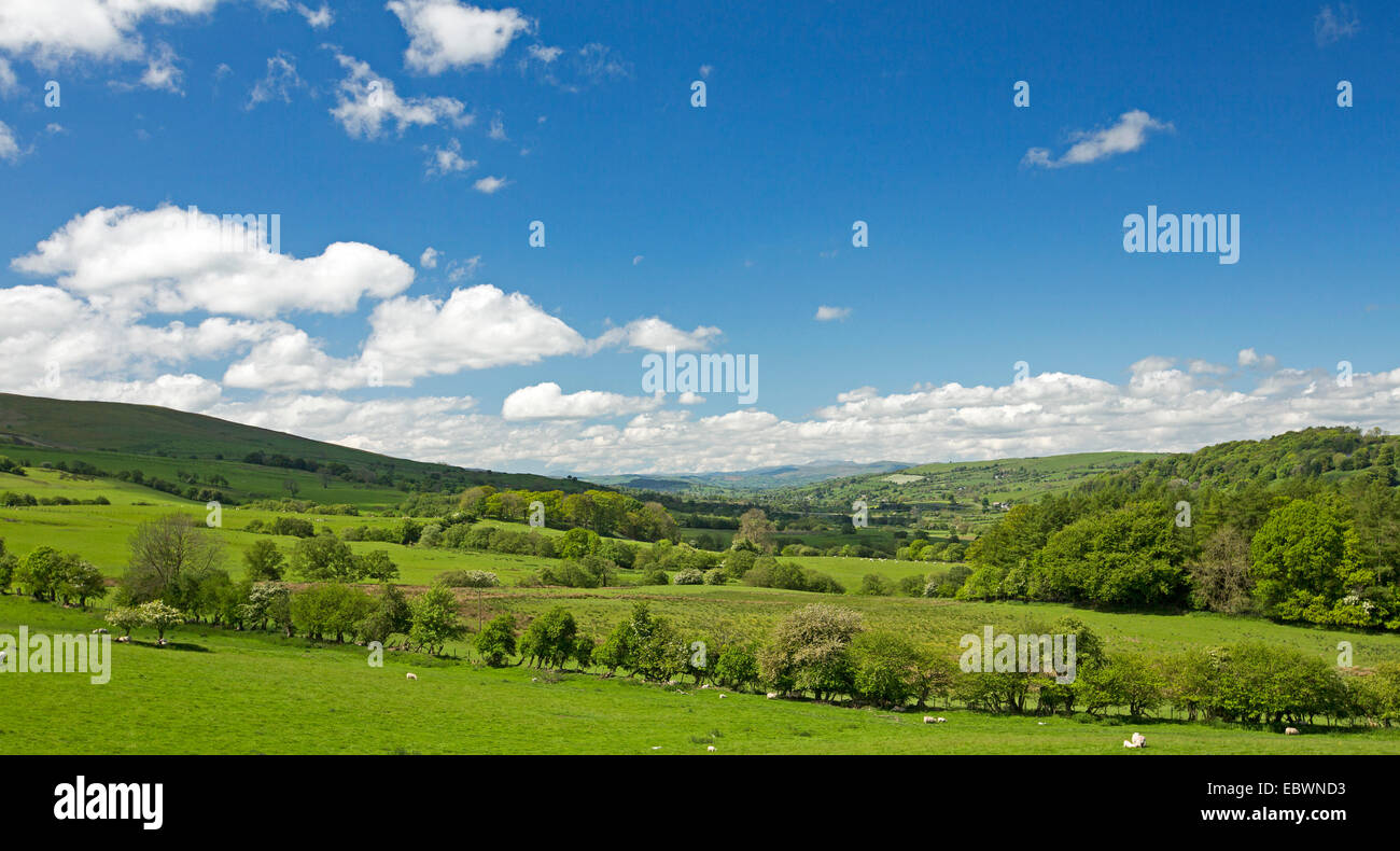 Panoramic Welsh rural landscape of rolling hills & emerald fields ...