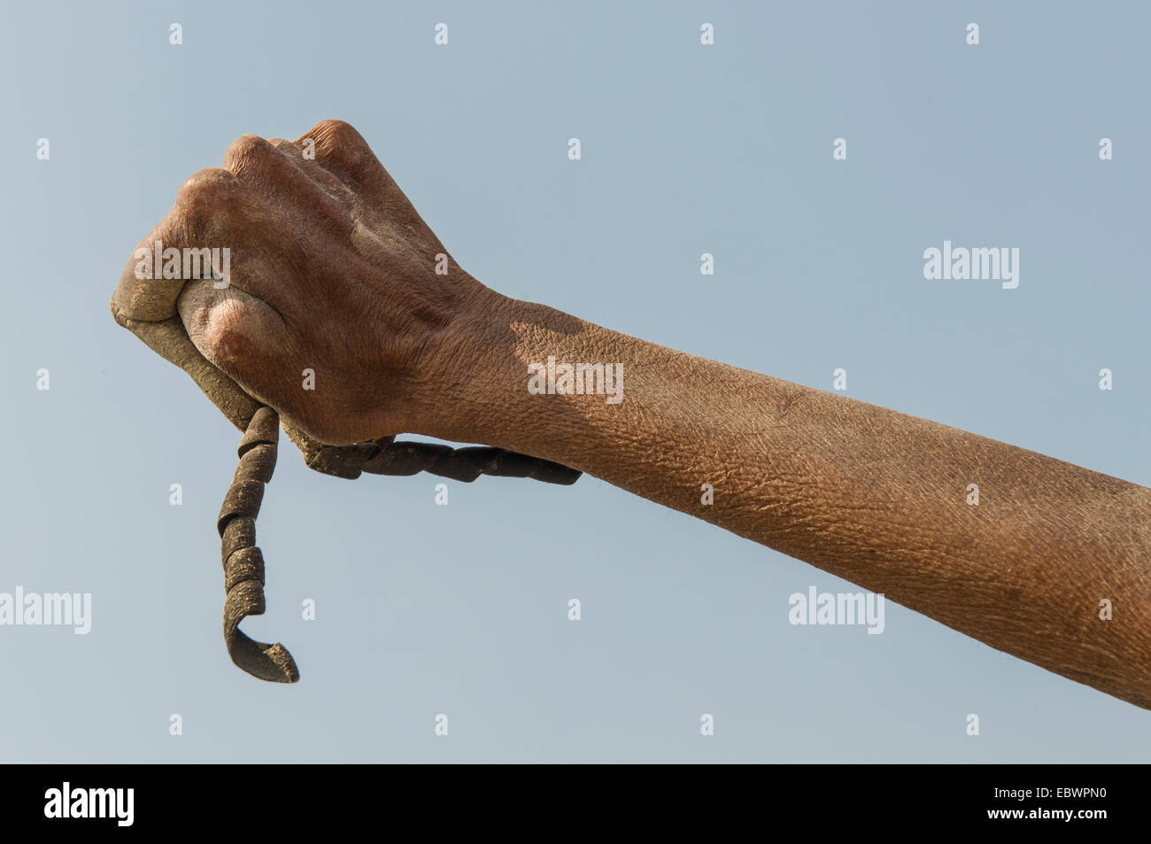 Crippled hand of a Shiva sadhu from Juna Akhara, holy man, practicing ...