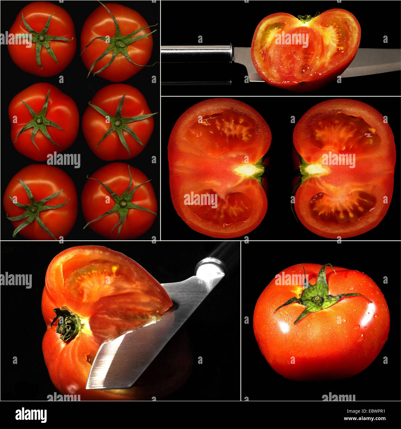 tomatoes collage composition nested on a black square frame Stock Photo ...