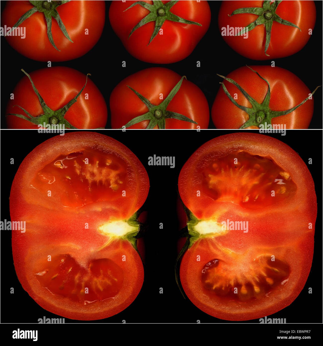 tomatoes collage composition nested on a black square frame Stock Photo ...