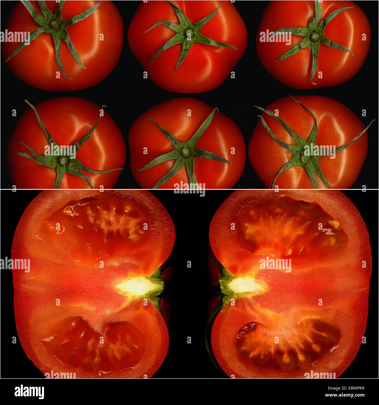 tomatoes collage composition nested on a black square frame Stock Photo ...