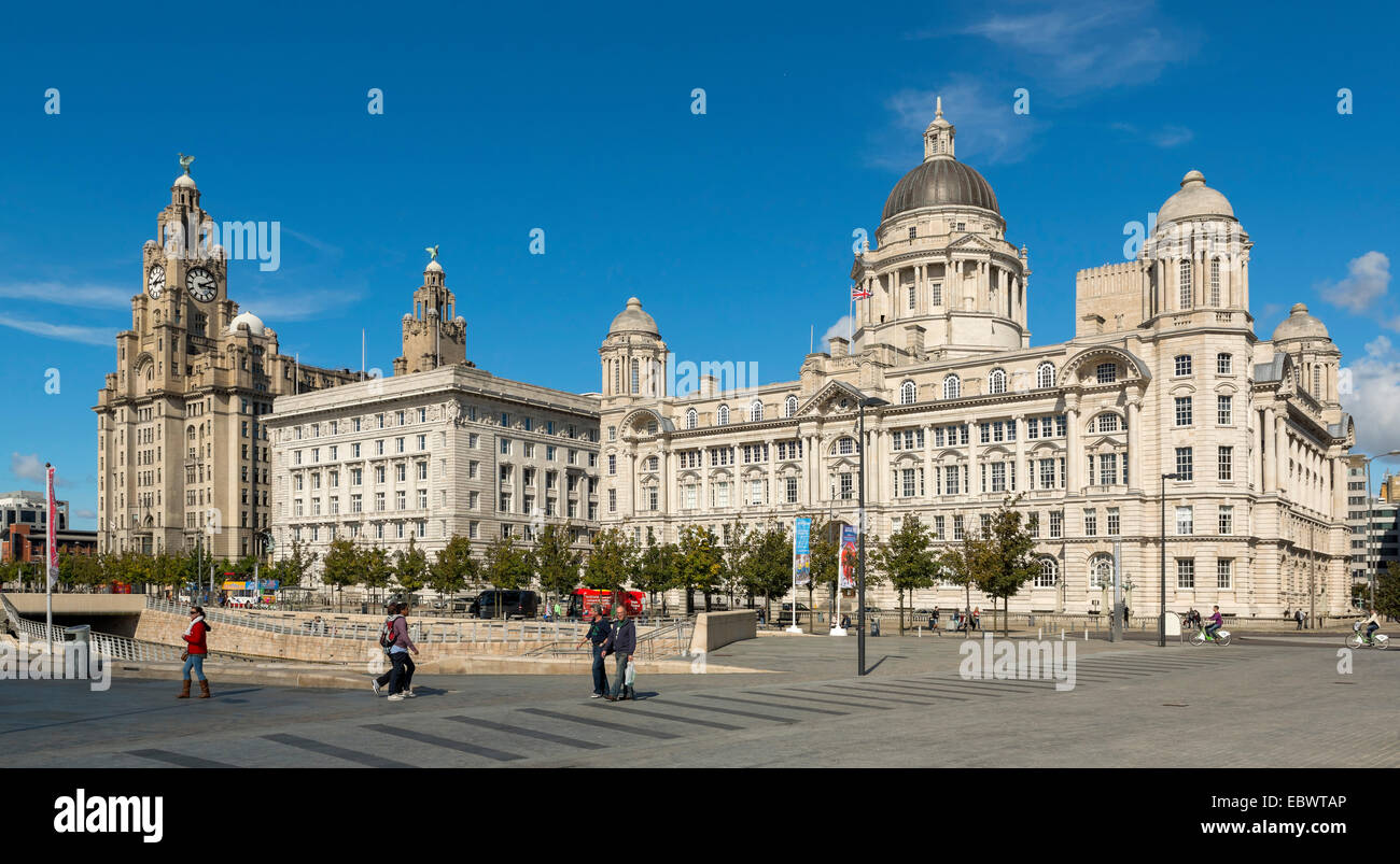Royal Liver Building, Cunard Building, Port of Liverpool Building ...