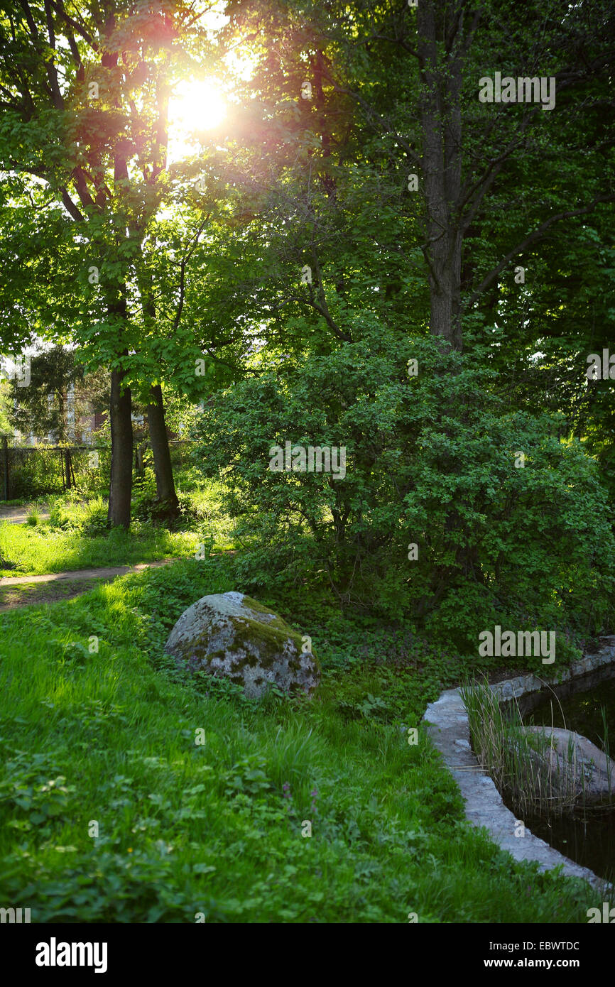 The green trees in the sunlight, landscape Stock Photo - Alamy