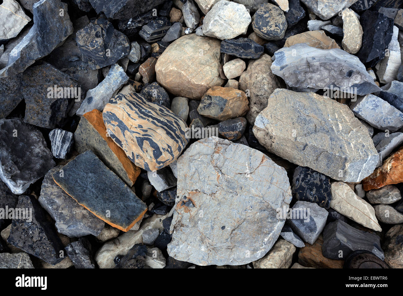 Patterned stones, Banff National Park, Alberta Province, Canada Stock ...