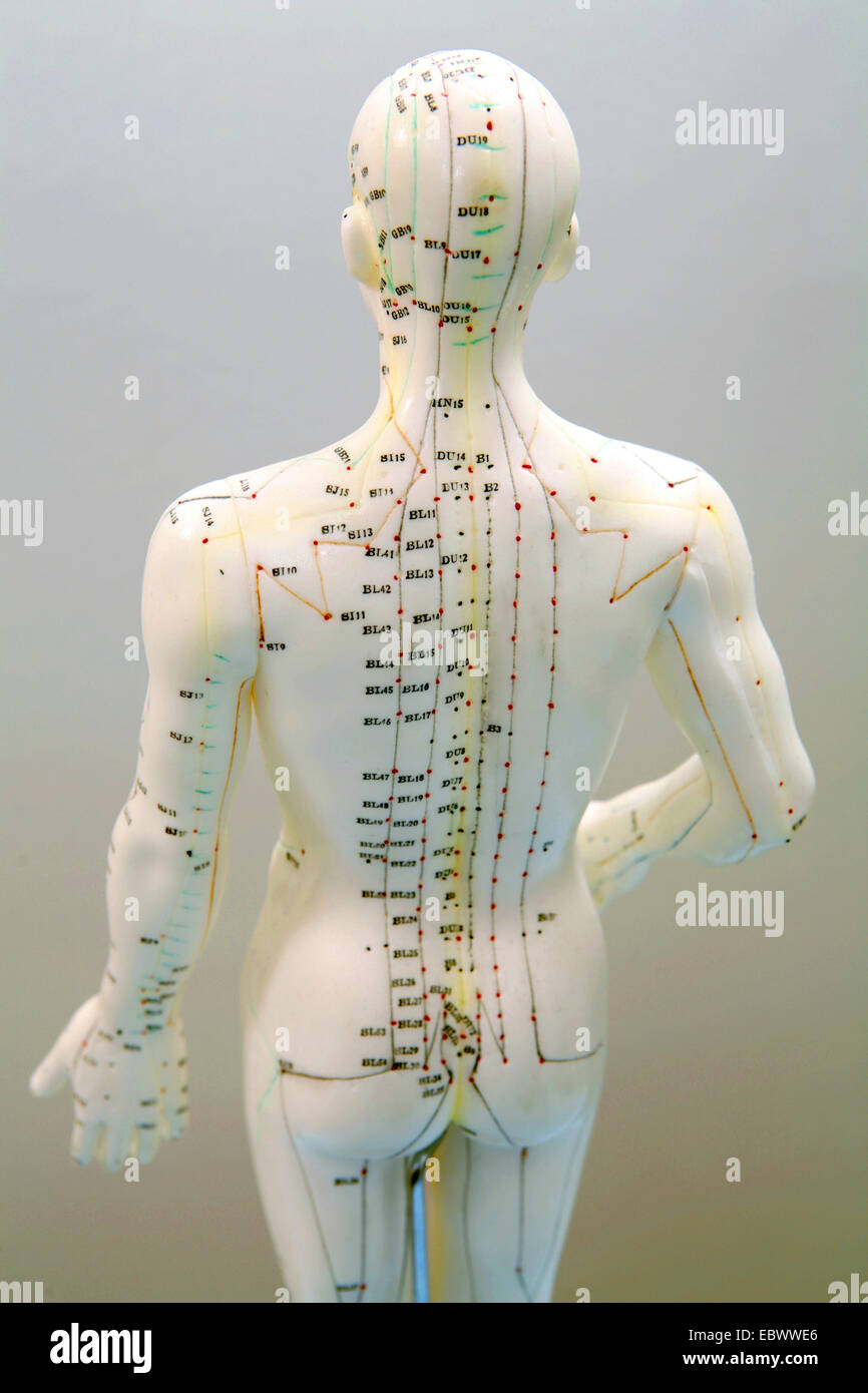 Acupuncture model hi-res stock photography and images - Alamy
