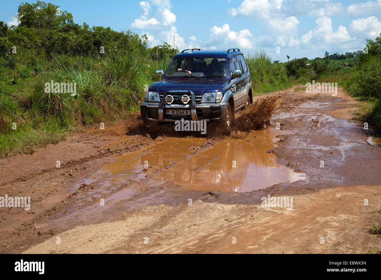 Car driving through bush hi-res stock photography and images - Alamy