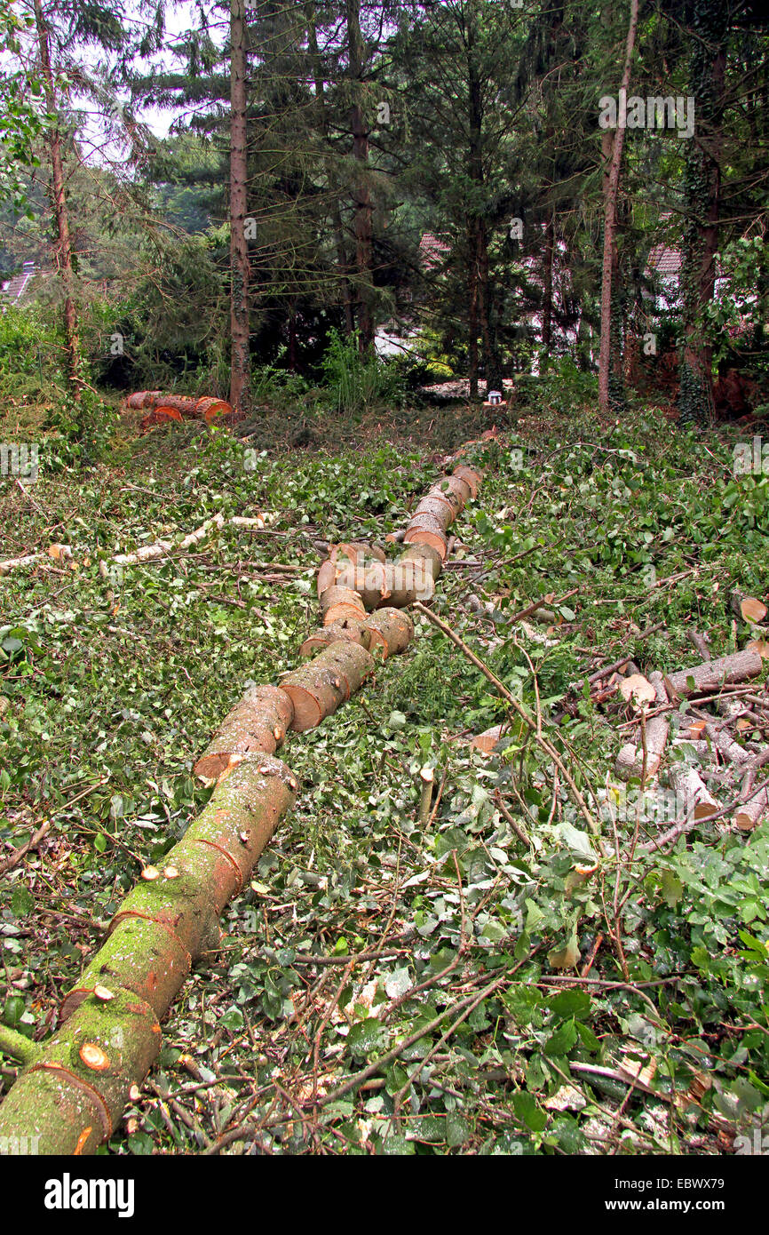 Log down hi-res stock photography and images - Alamy