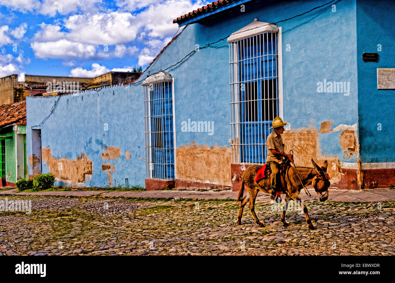 Old man with his donkey for rides on streets of old village, Cuba ...