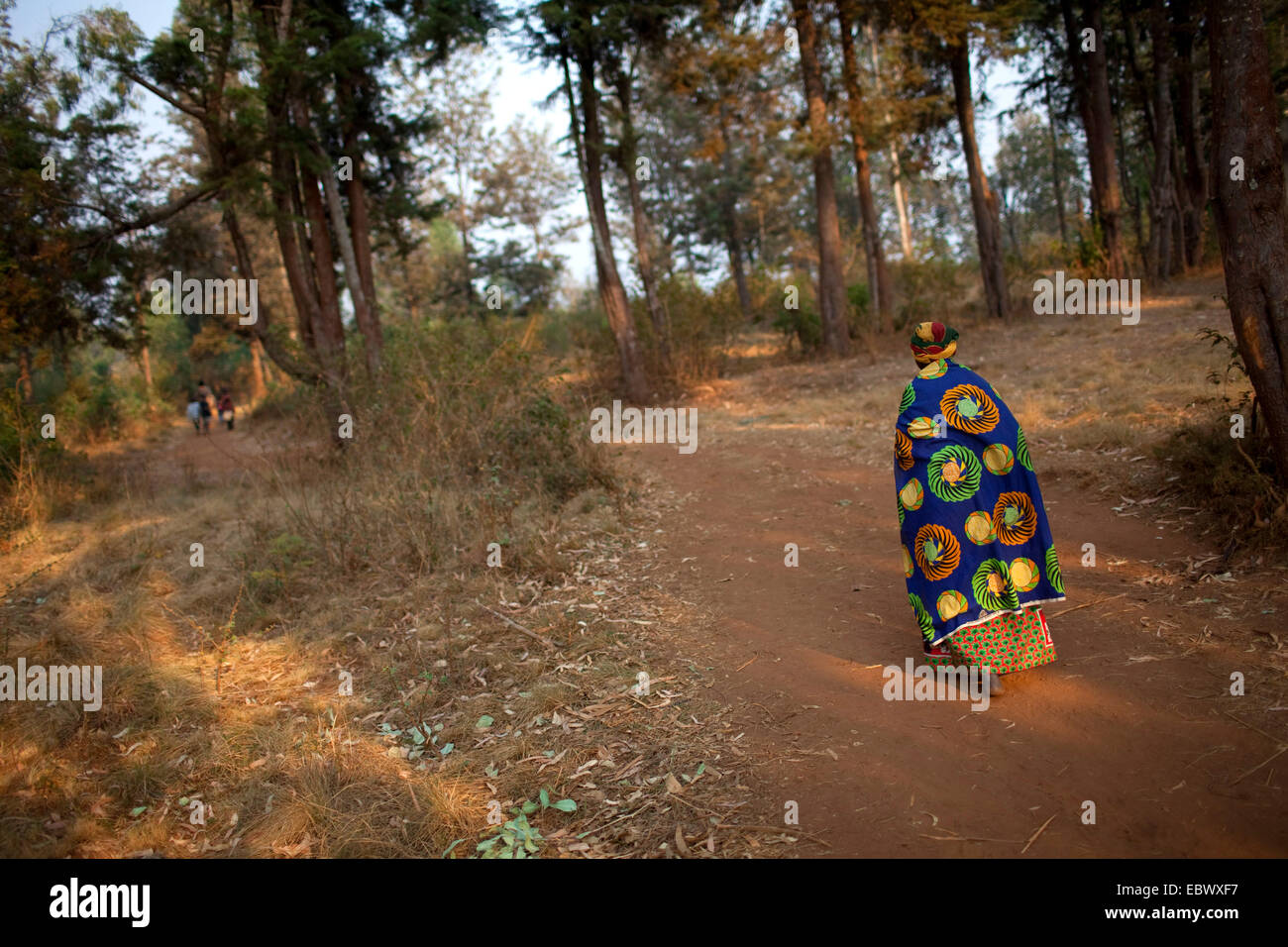 old woman in traditional clothes walking to the market on dusty path ...