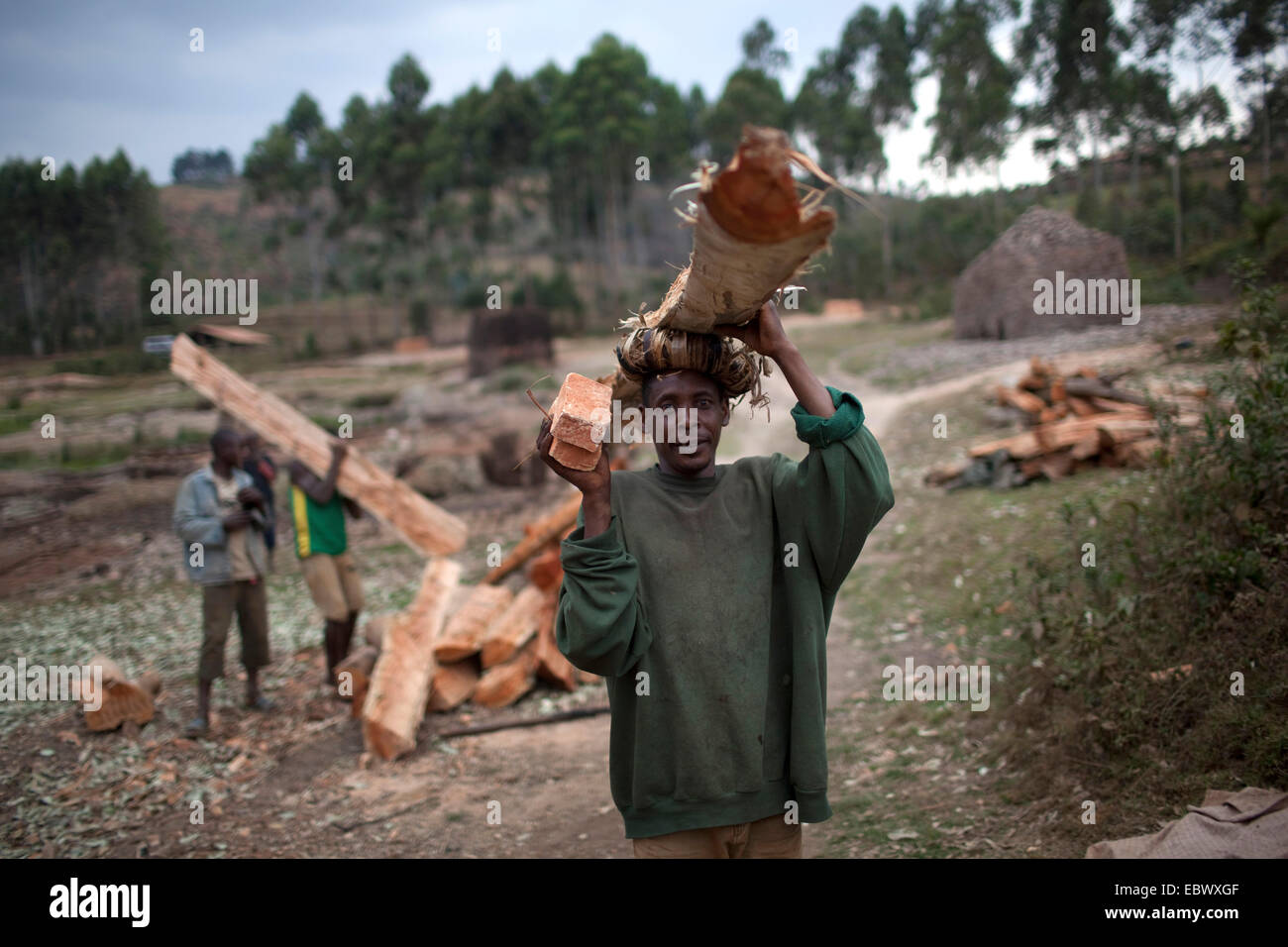 young man carrying timber beam for firing brick kiln, Burundi, Karuzi ...