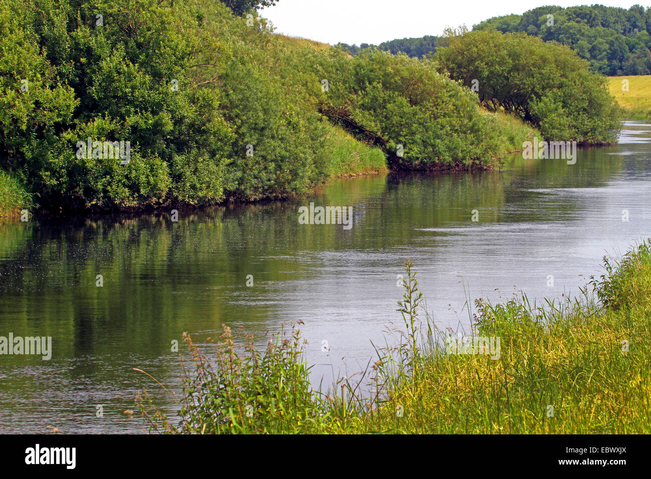 Lippe river, Germany, North Rhine-Westphalia, Ruhr Area, Dorsten Stock ...