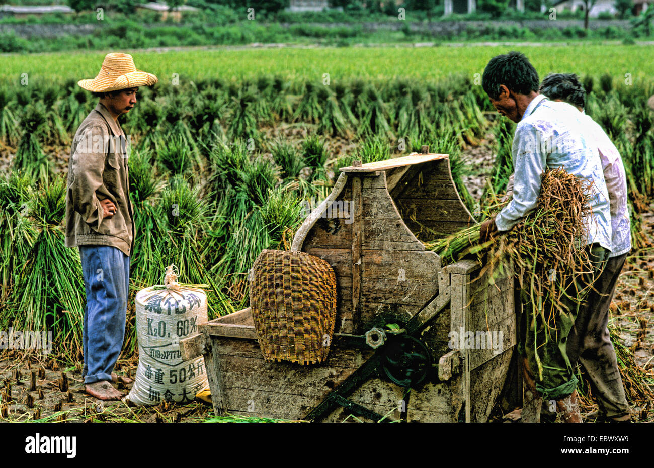 China machine farming hi-res stock photography and images - Alamy