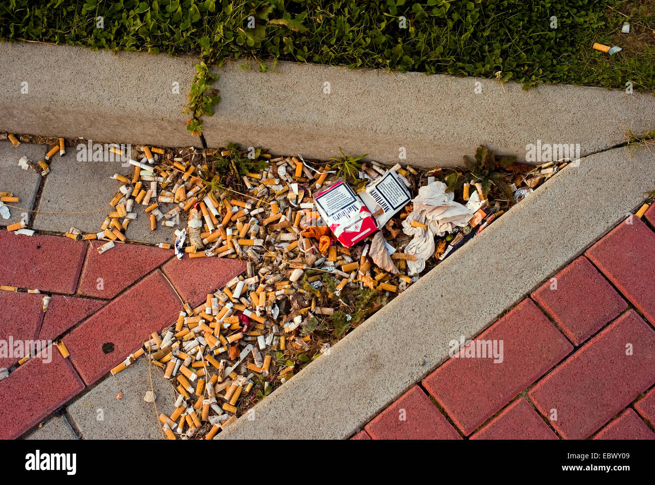 content of a car ash-trays left at a motorway station, Germany Stock ...