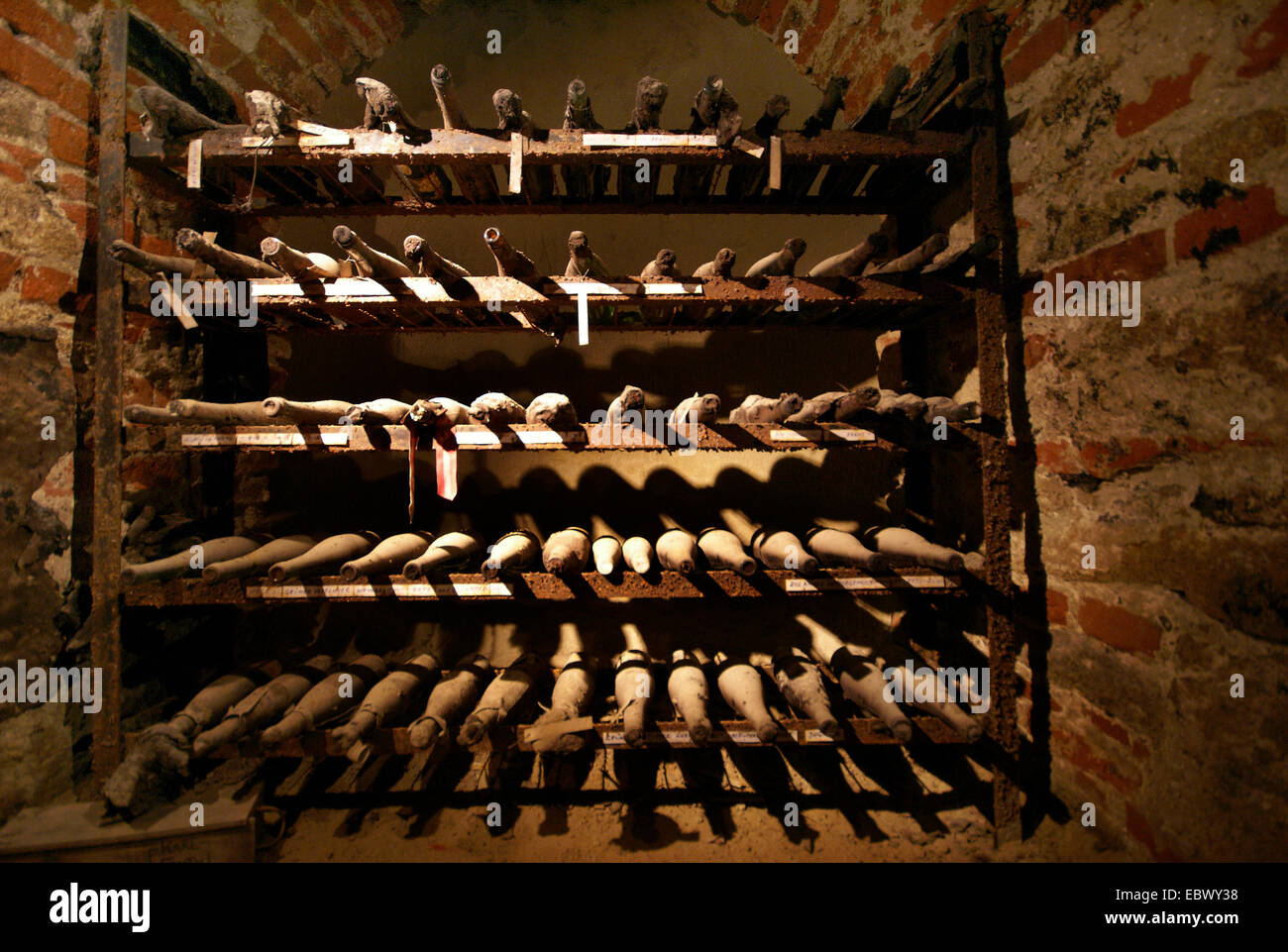 Dusty Wine Cellar Art