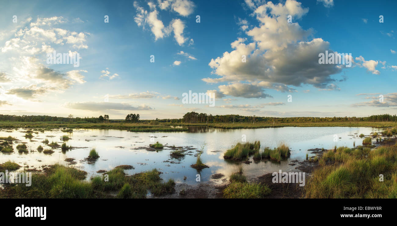 Panorama landscape Summer sunset over wetlands Stock Photo - Alamy