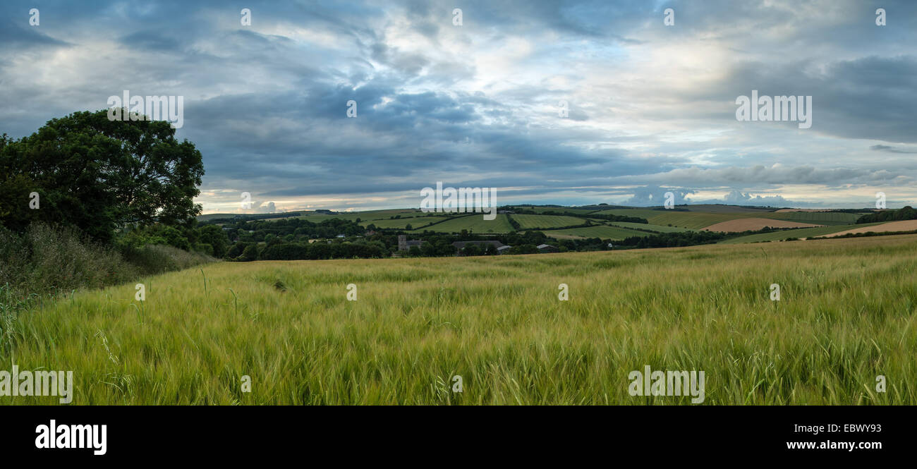 Stunning countryside landscape wheat field in Summer sunset Stock Photo ...
