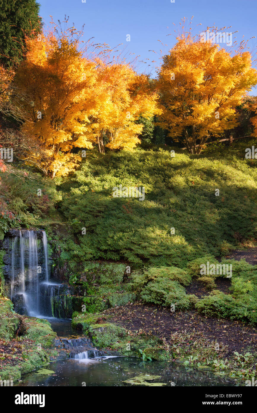 Beautiful Autumn landscape of waterfall Stock Photo - Alamy