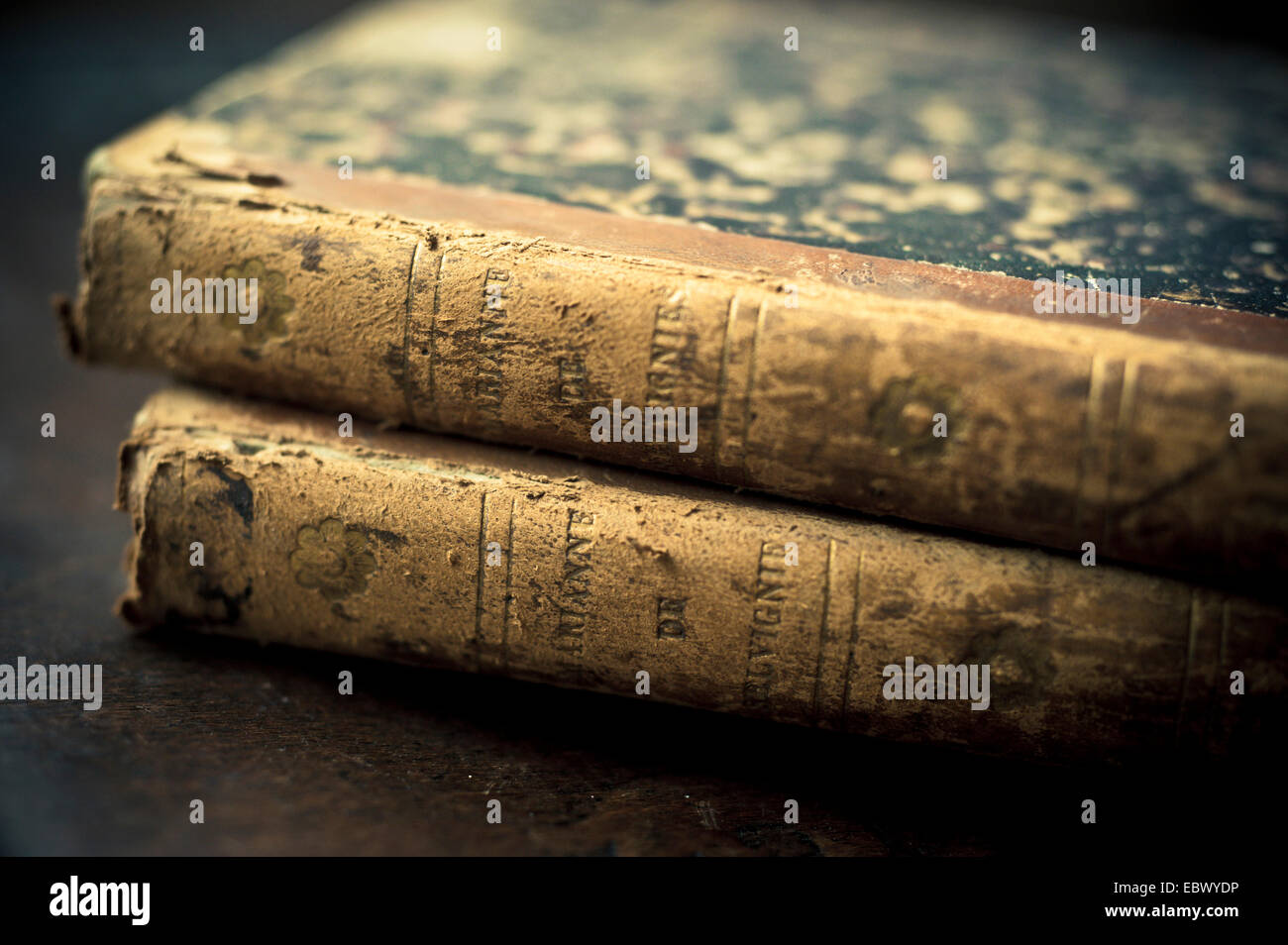 two old French books Stock Photo - Alamy