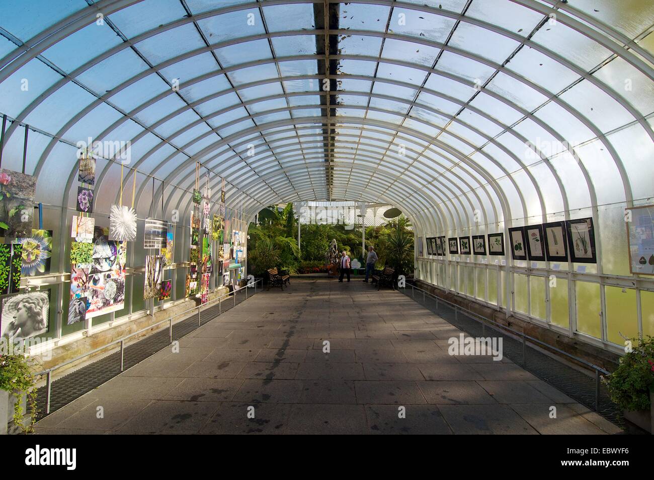 A glass archway inside the Kibble Palace at Glasgow Botanic Gardens ...