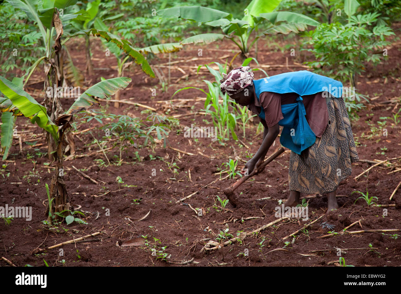African woman farming hi-res stock photography and images - Alamy