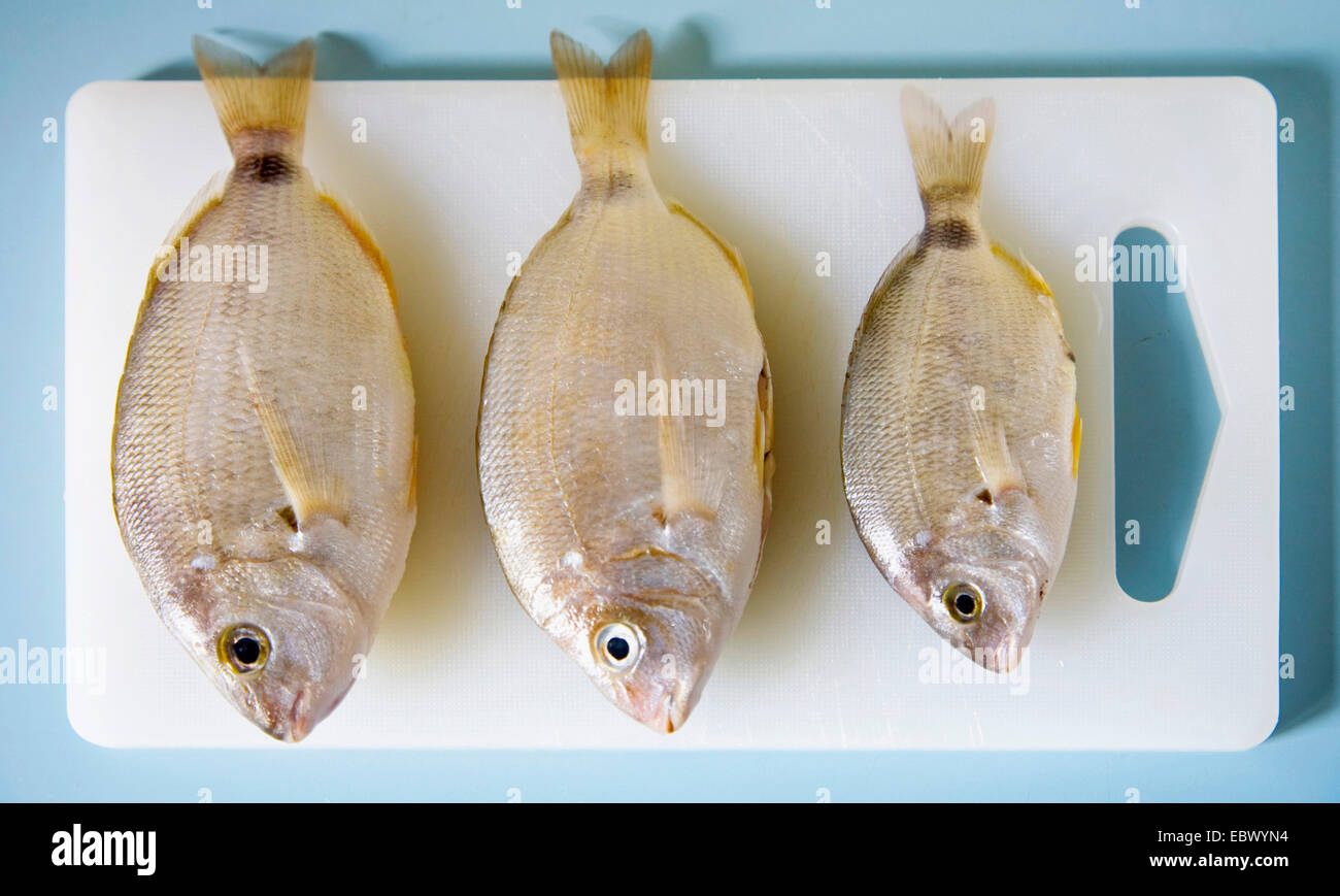 Three fishes hi-res stock photography and images - Alamy
