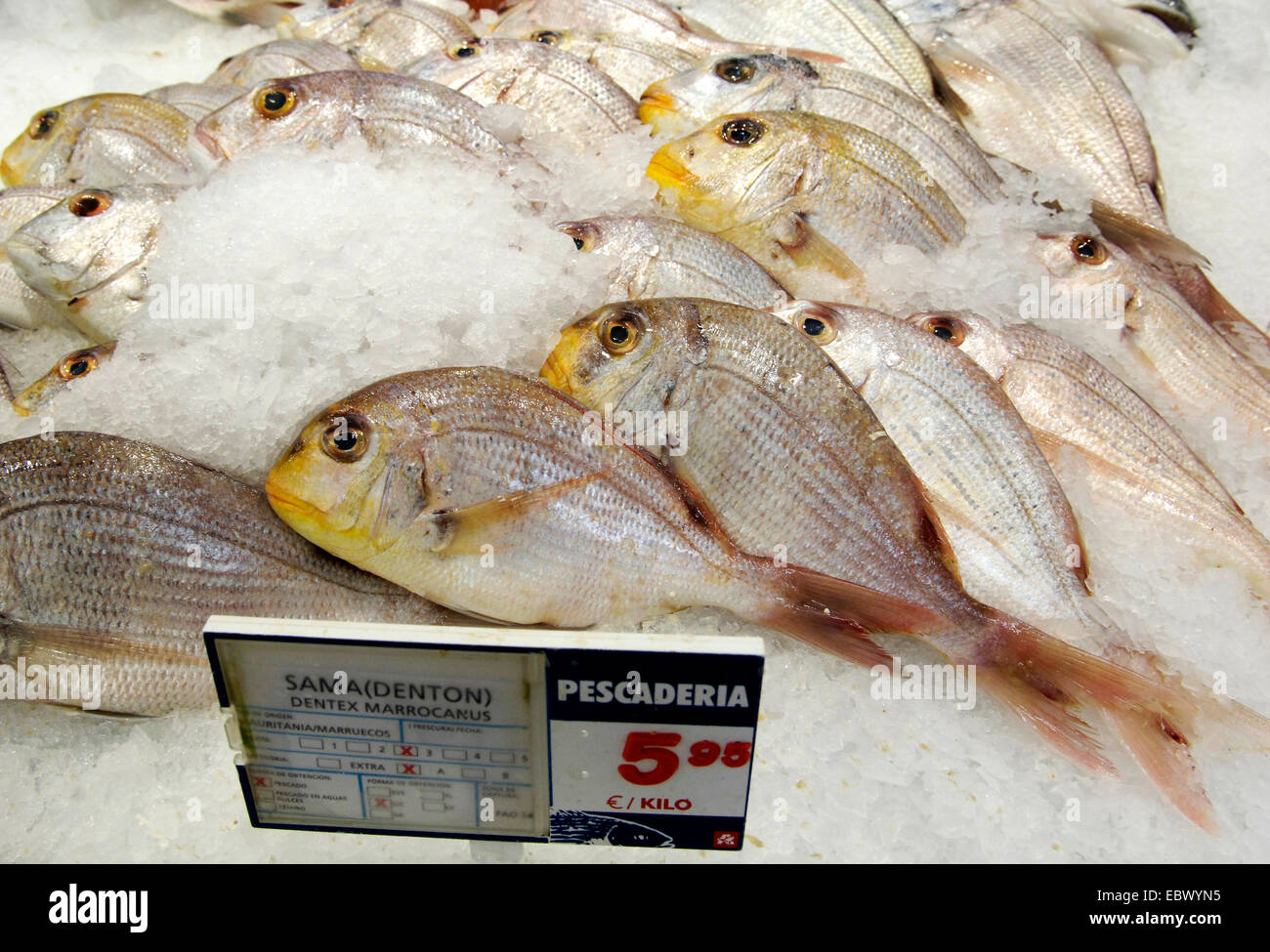 fish with price tag, Spain Stock Photo - Alamy