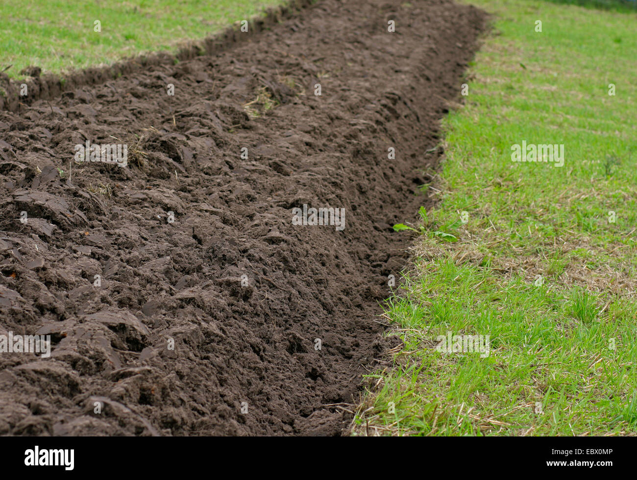 Bad field hi-res stock photography and images - Alamy