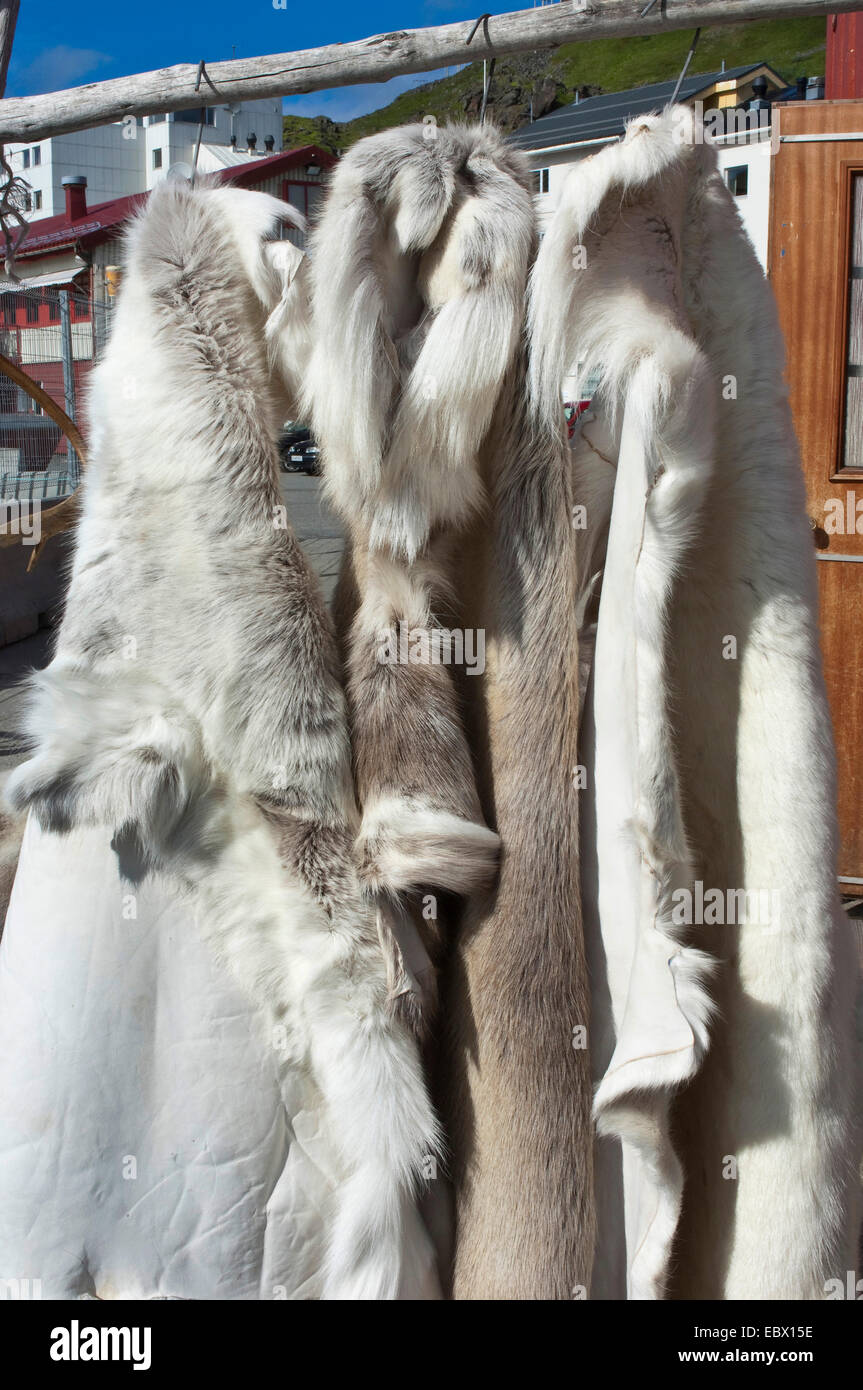 Furs goods hi-res stock photography and images - Alamy